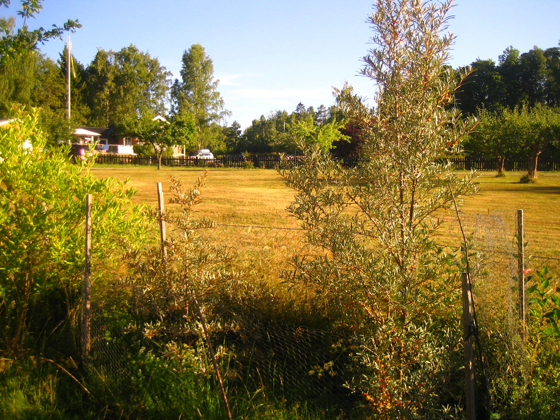 Crazy Swedish Gardener | Swedish Gardening at its Best!